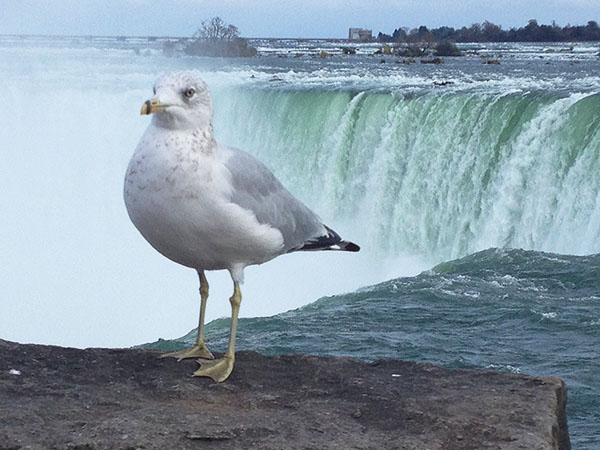 About Our Company - Carson Private Capital